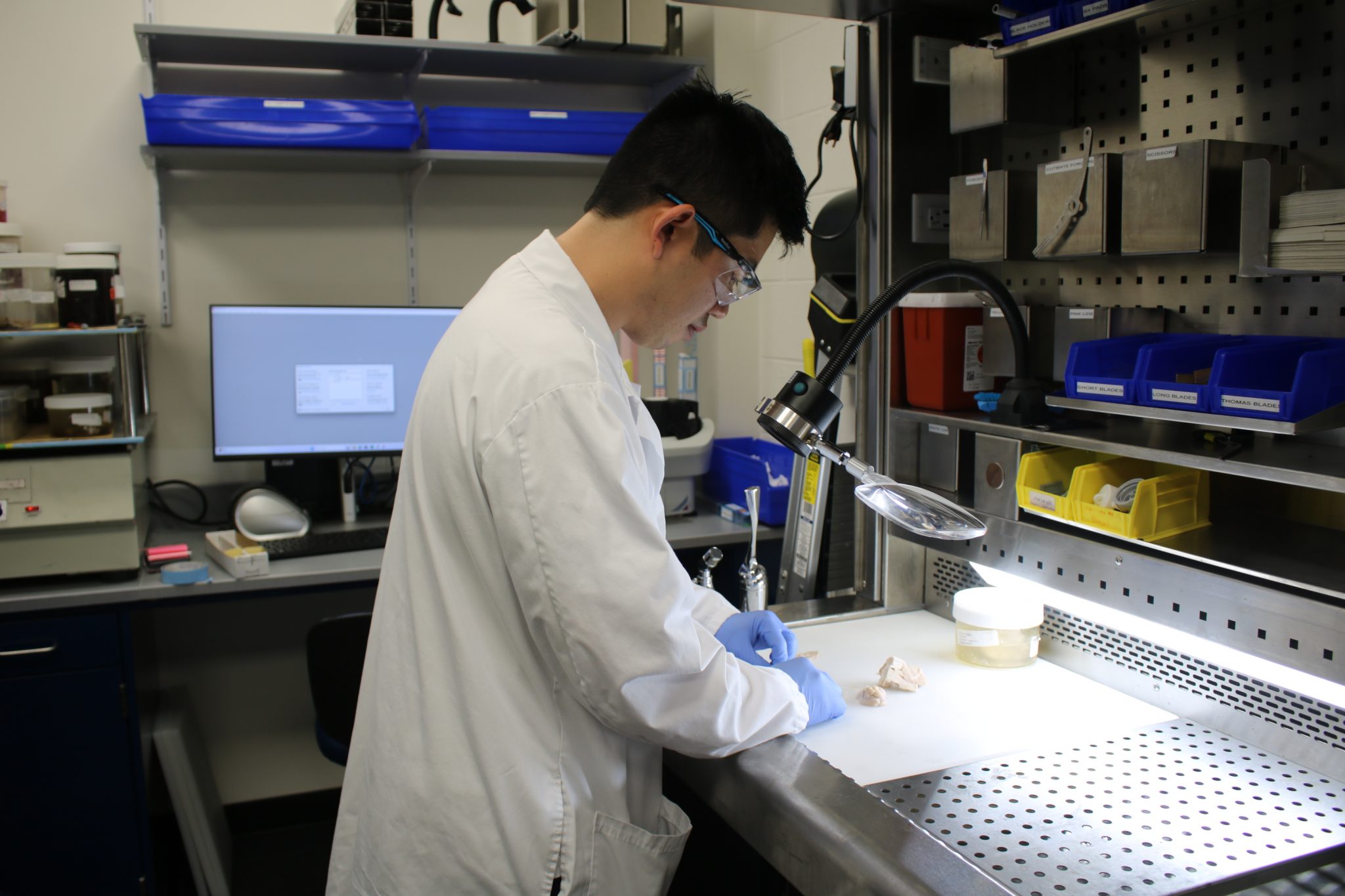 Undergraduate Opportunities | Connecticut Veterinary Medical Diagnostic ...