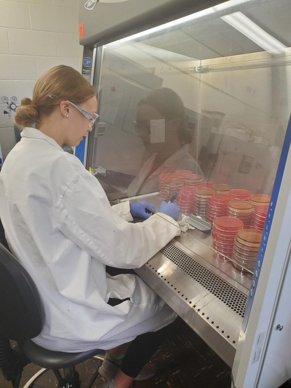 Undergraduate Opportunities | Connecticut Veterinary Medical Diagnostic ...