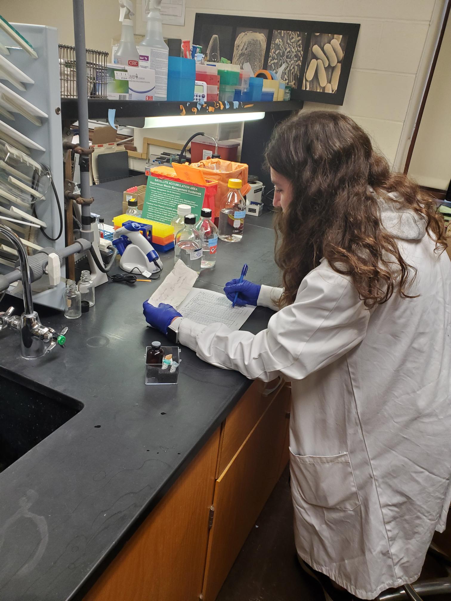 Photo Gallery | Connecticut Veterinary Medical Diagnostic Laboratory