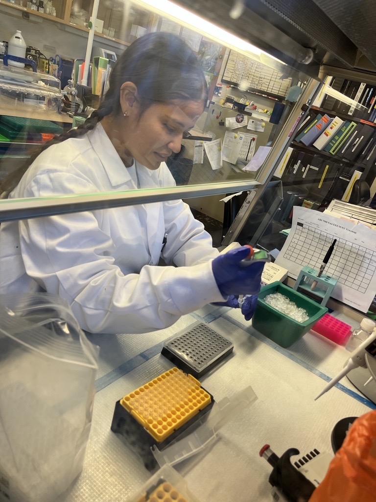 Undergraduate Opportunities | Connecticut Veterinary Medical Diagnostic ...