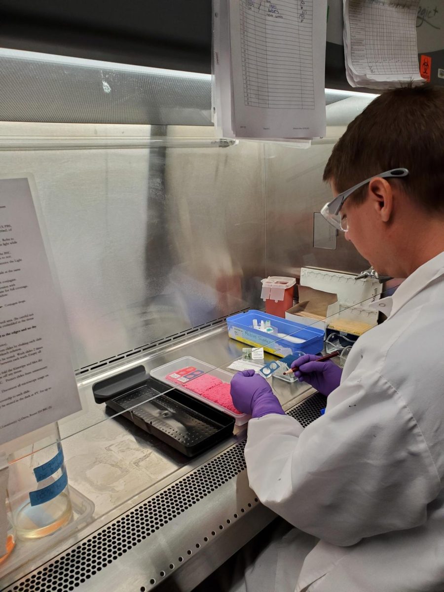 Undergraduate Opportunities | Connecticut Veterinary Medical Diagnostic ...