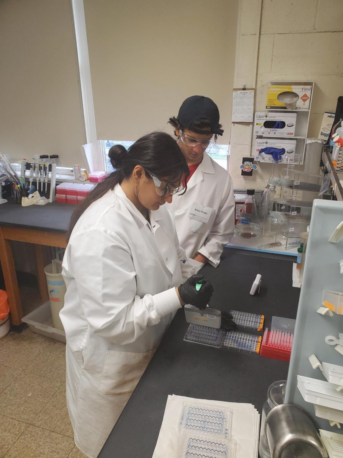 Undergraduate Opportunities | Connecticut Veterinary Medical Diagnostic Laboratory