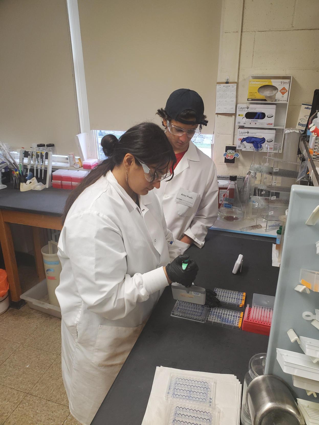 Undergraduate Opportunities | Connecticut Veterinary Medical Diagnostic Laboratory