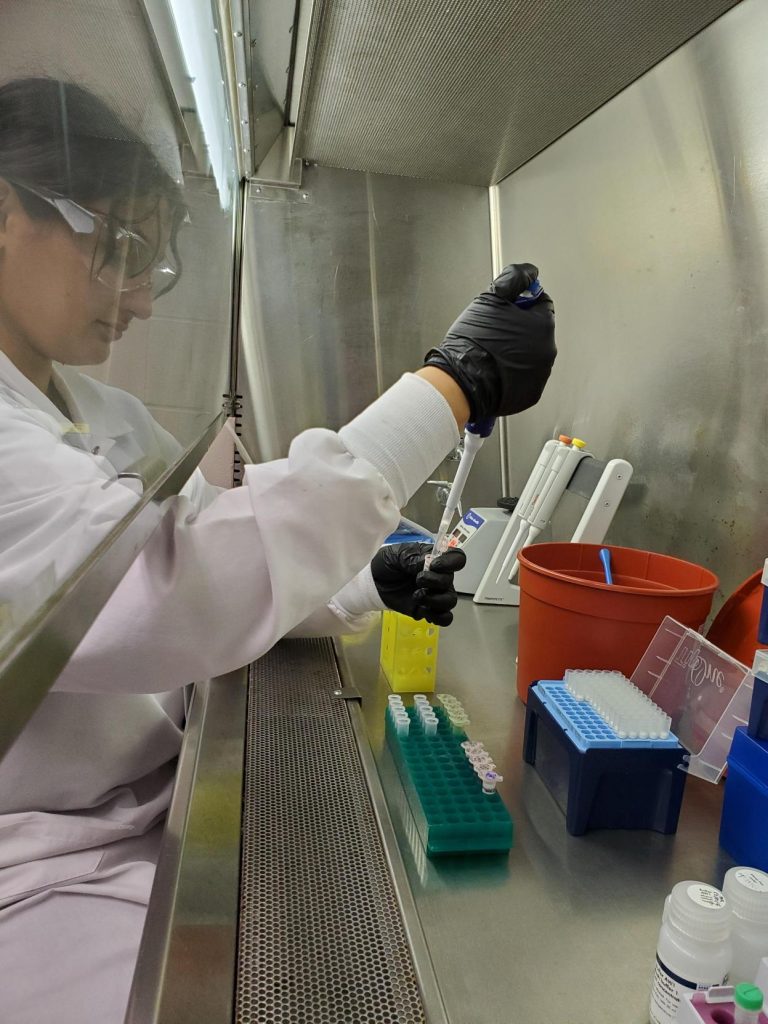 Undergraduate Opportunities | Connecticut Veterinary Medical Diagnostic ...