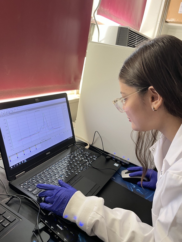 Photo Gallery | Connecticut Veterinary Medical Diagnostic Laboratory